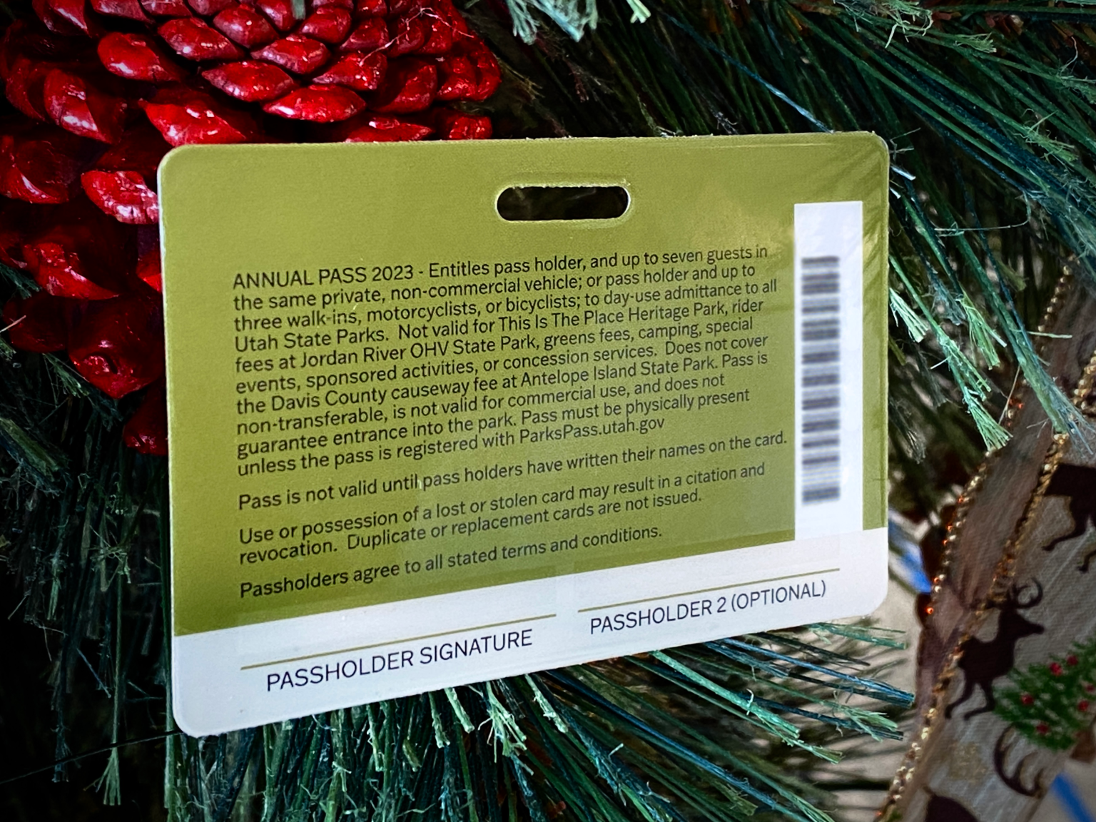 Check Out The New 2023 Annual Pass Design! | Utah State Parks